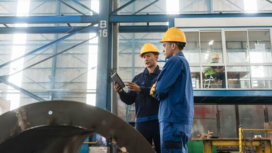 Inspection vs Audit: What's the Difference?